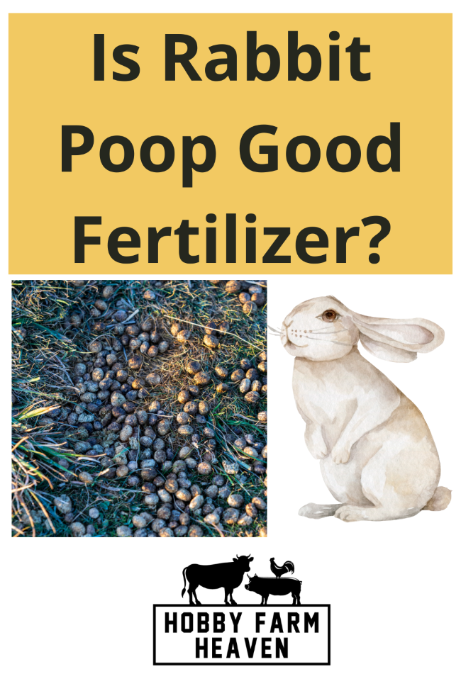 Is Rabbit Poop Good For Fertilizer Hobby Farm Heaven