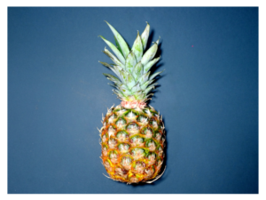 Fruits For Rabbits: Can Rabbits Eat Pineapple · Hobby Farm Heaven