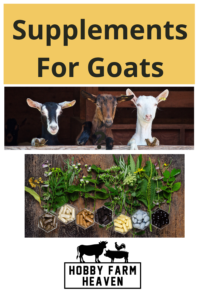 Supplements For Goats · Hobby Farm Heaven